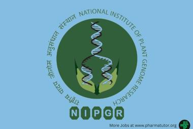 In vivo Iron-Based Coordination Assembly for Disease Diagnosis and ...